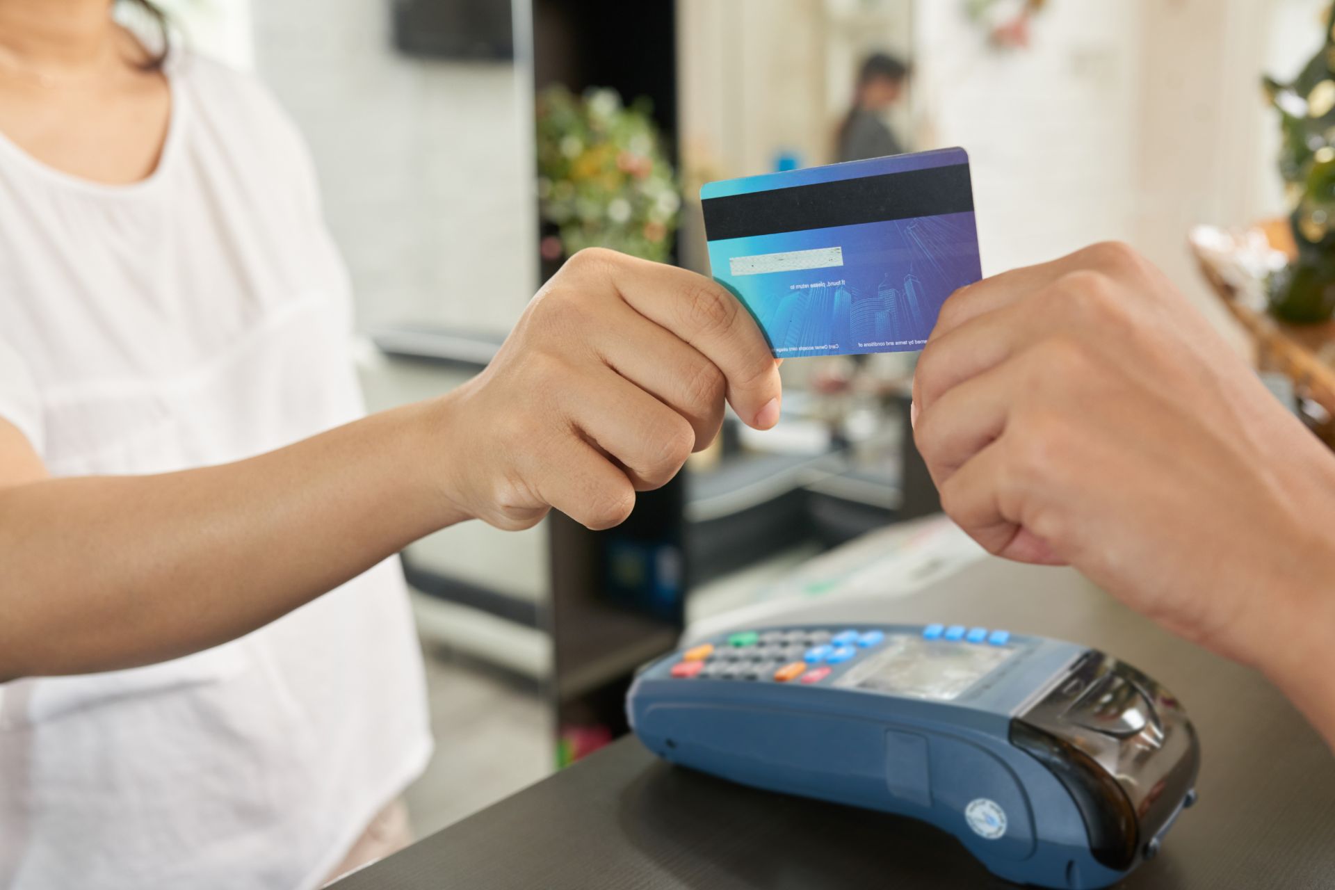 Payment Options For Veterinary Care | Northern Oak AH